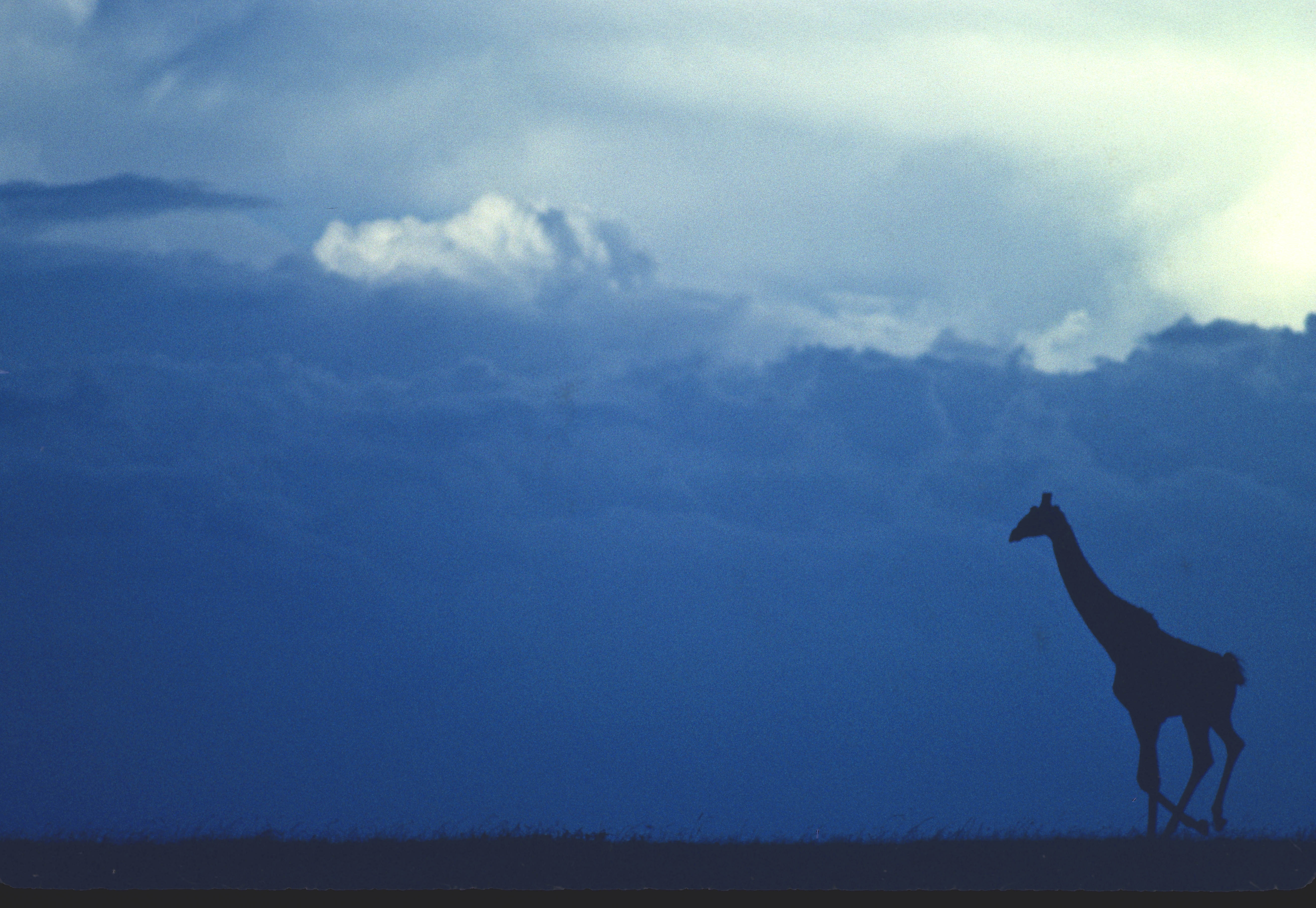 Edited Giraffe File053 – The world of Karl Ammann