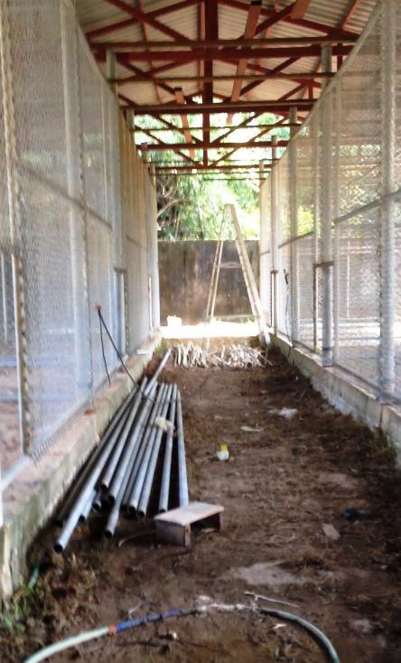 t1-1 – The world of Karl Ammann