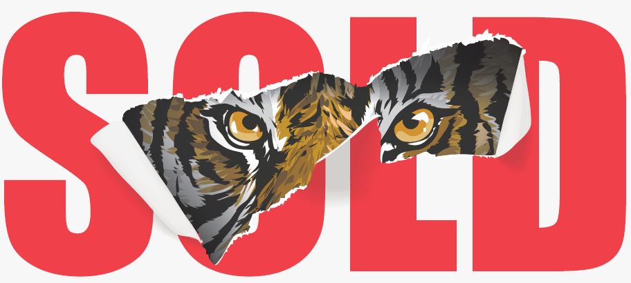 The world of Karl Ammann – Conservationist – Wildlife Crime ...