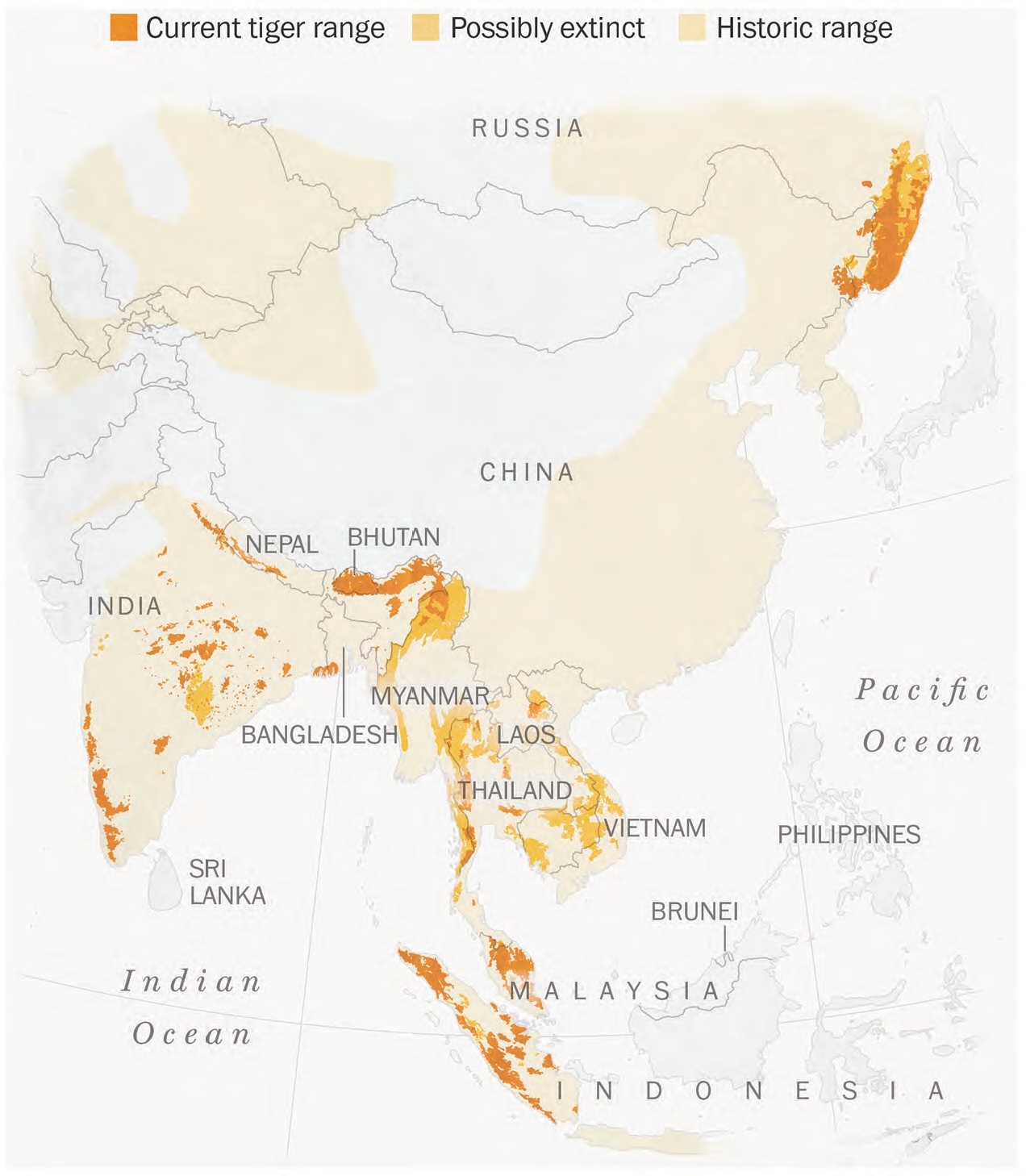 tigermap – The world of Karl Ammann